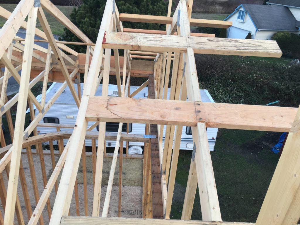 Saving Sustainably - Step 11b - Lookouts and Fascia